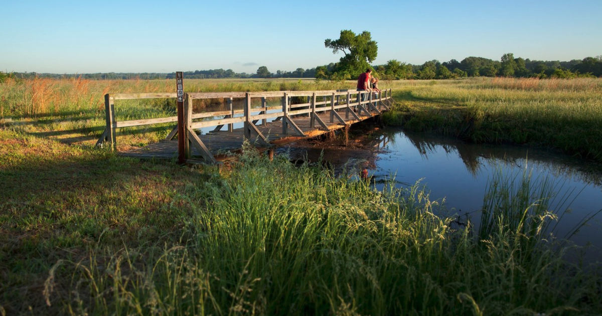 The Chickasaw Homeland: Three Pivotal Moments That Shaped Tupelo ...